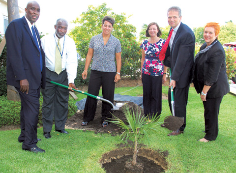 Silver-Thatch-Tree-Planting-Photo-(Read-Only).jpg - Cayman Compass