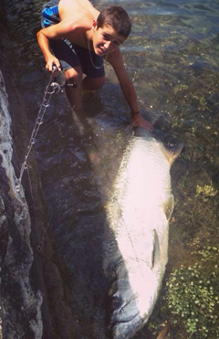 Crighton hooks monster - Cayman Compass