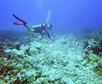 Extent of damage to coral reef revealed - Cayman Compass