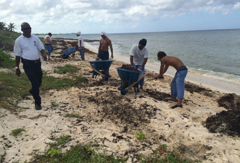 Prisoners tackle beach debris - Cayman Compass