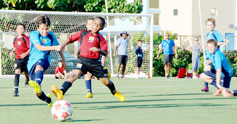 Primary season kicks off with exciting Opening Rally games - Cayman Compass