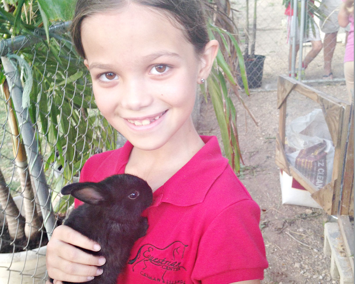 Baby bunnies make their debut - Cayman Compass