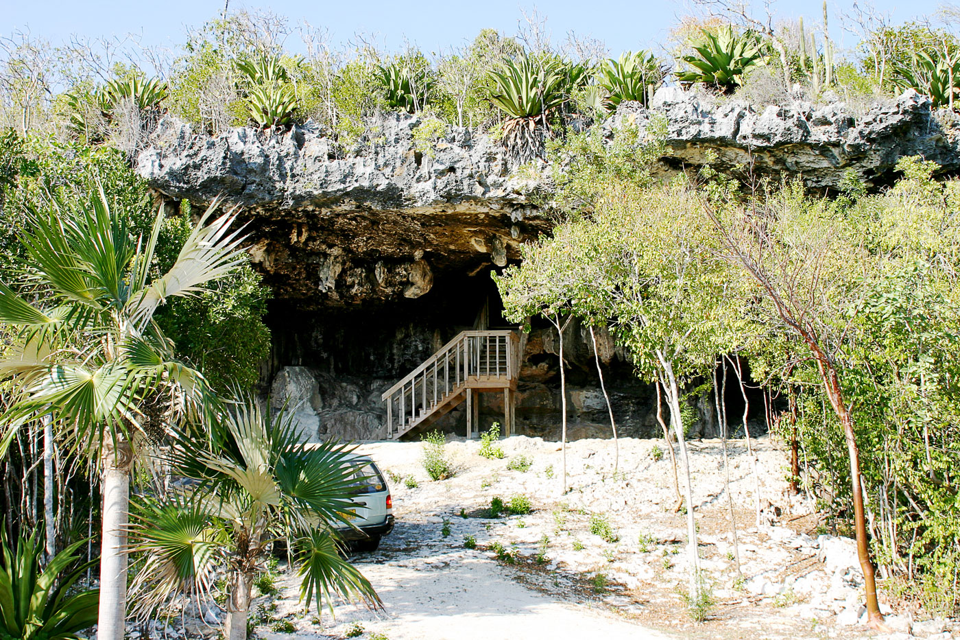 Nature Cayman offers up the best of the Brac - Cayman Compass