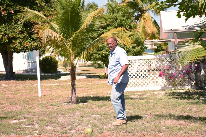 Hundreds attend Little Cayman Agriculture Show - Cayman Compass