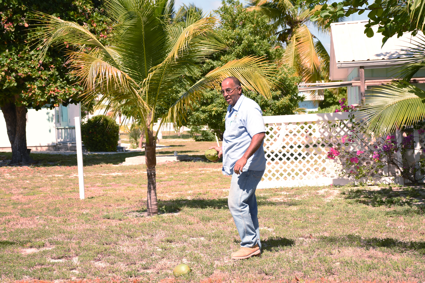 Hundreds attend Little Cayman Agriculture Show - Cayman Compass