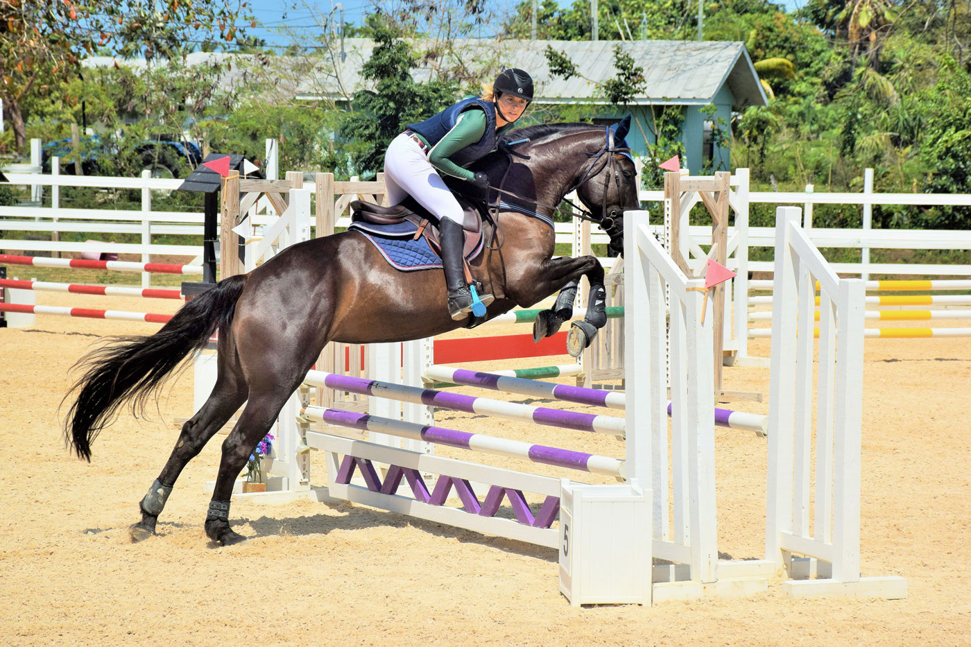 Riders get high marks in jumping show - Cayman Compass