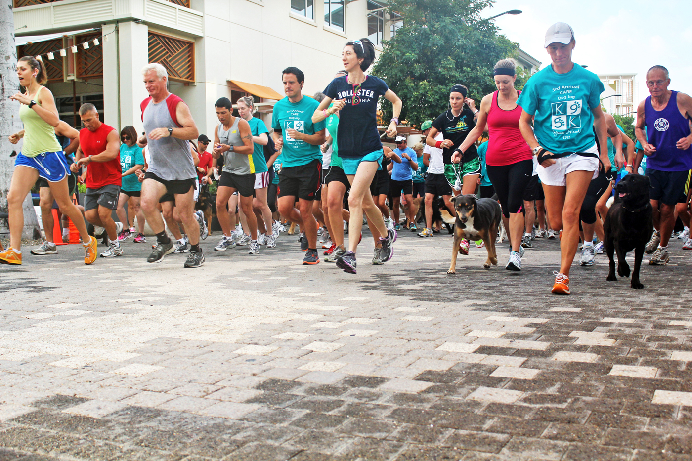 K9 Fun Run not just for canines - Cayman Compass