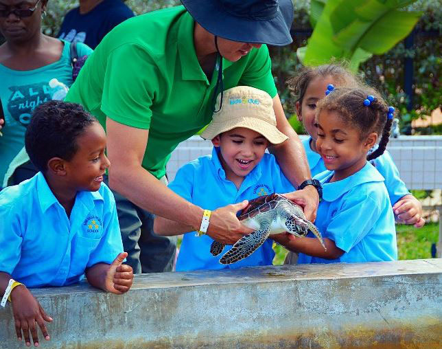 Turtle Farm’s education programs bring learning to life - Cayman Compass