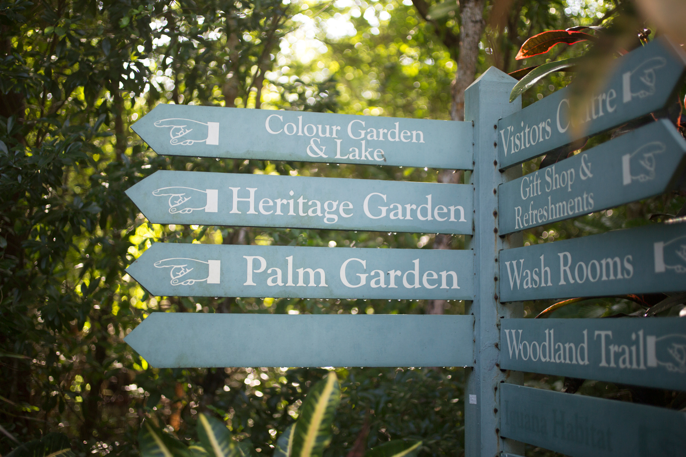 Earth Day at Queen Elizabeth II Botanic Park - Cayman Compass