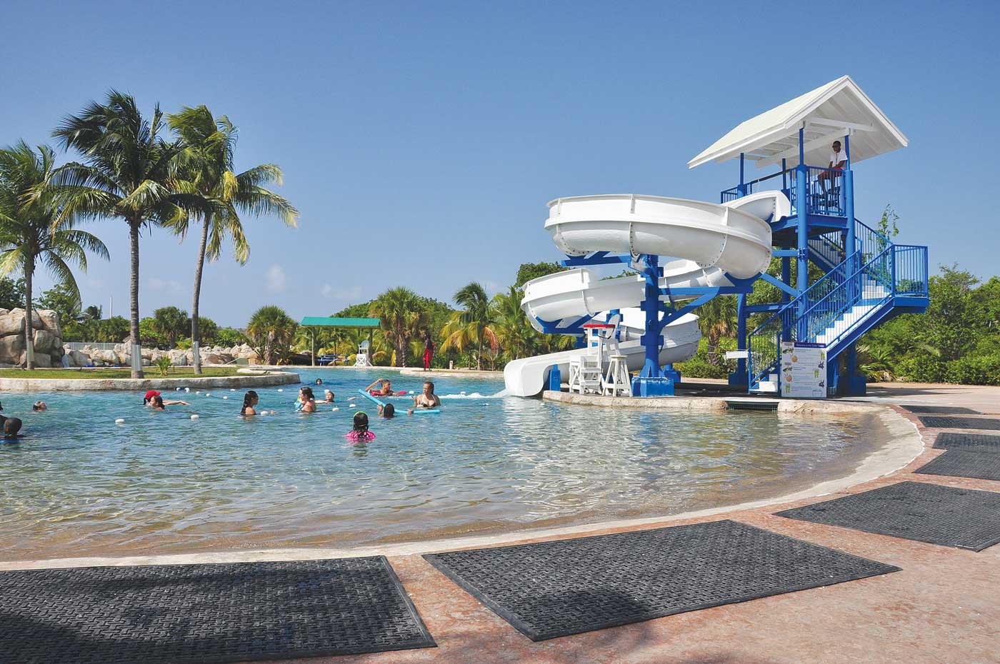 Turtle farm summer special for school groups - Cayman Compass