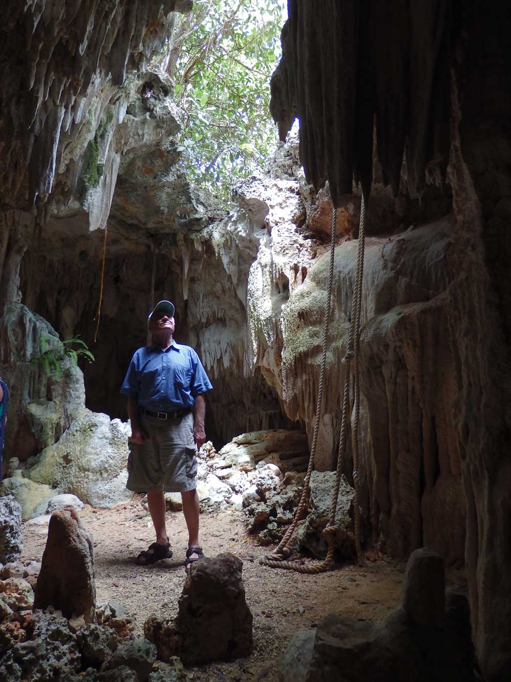 Cayman's caves a North Side wonder - Cayman Compass