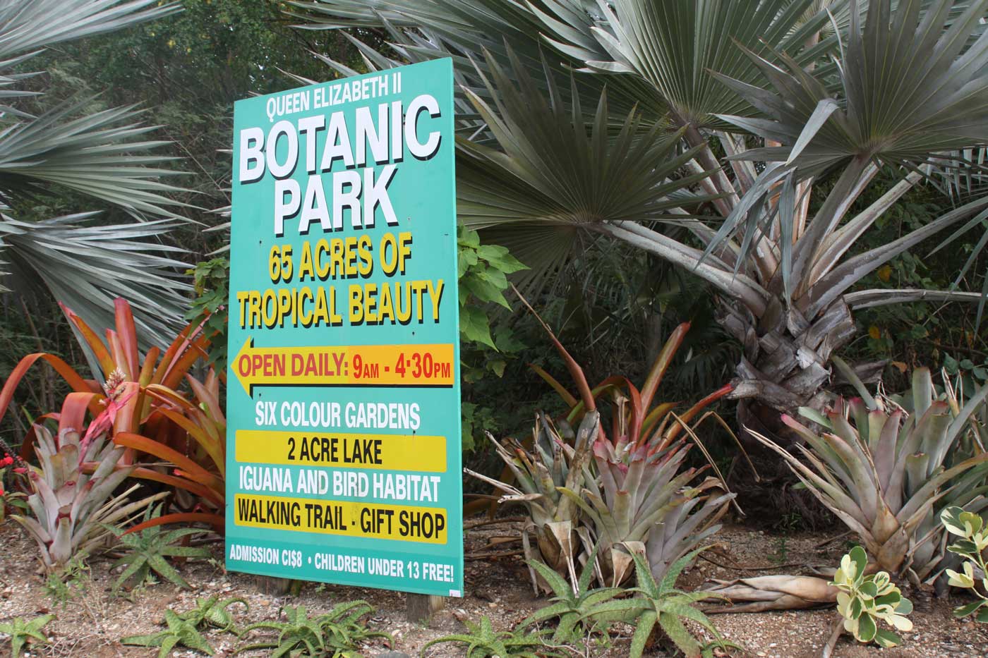 Tours enhance visit to Botanic Park in North Side - Cayman Compass
