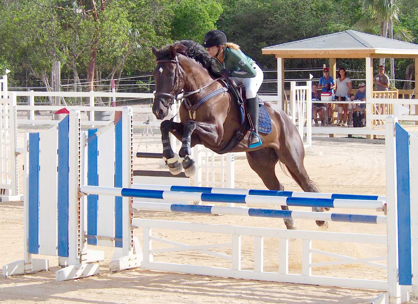 Jumping series ends on high note - Cayman Compass