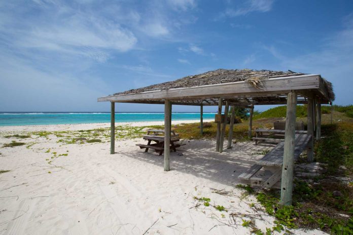 Dart to conserve Little Cayman forest - Cayman Compass