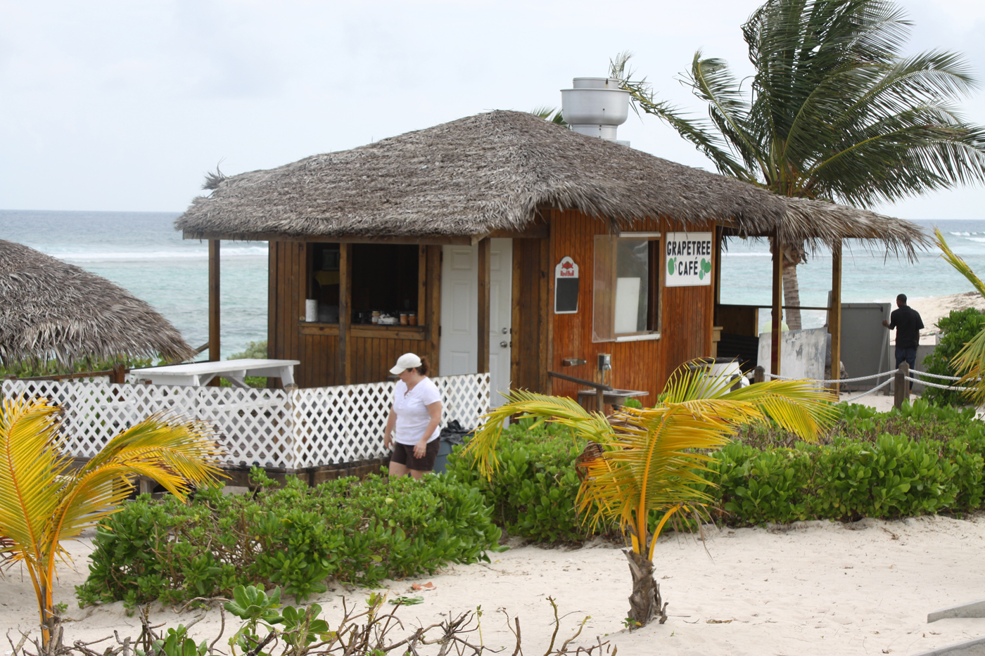 Cafe serving up plenty of fish - Cayman Compass