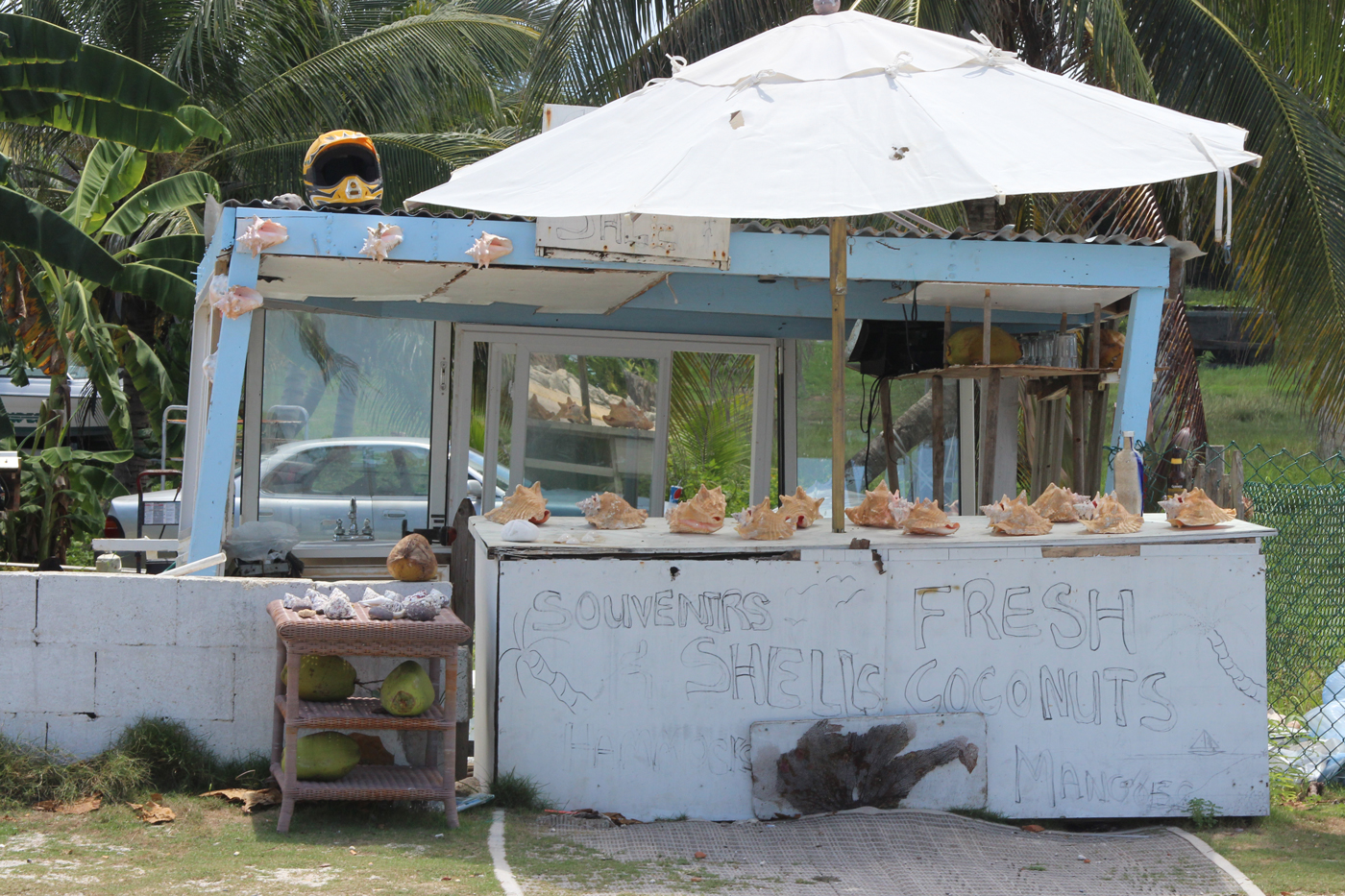 Conch shell stalls a familiar sight in Cayman’s eastern districts ...