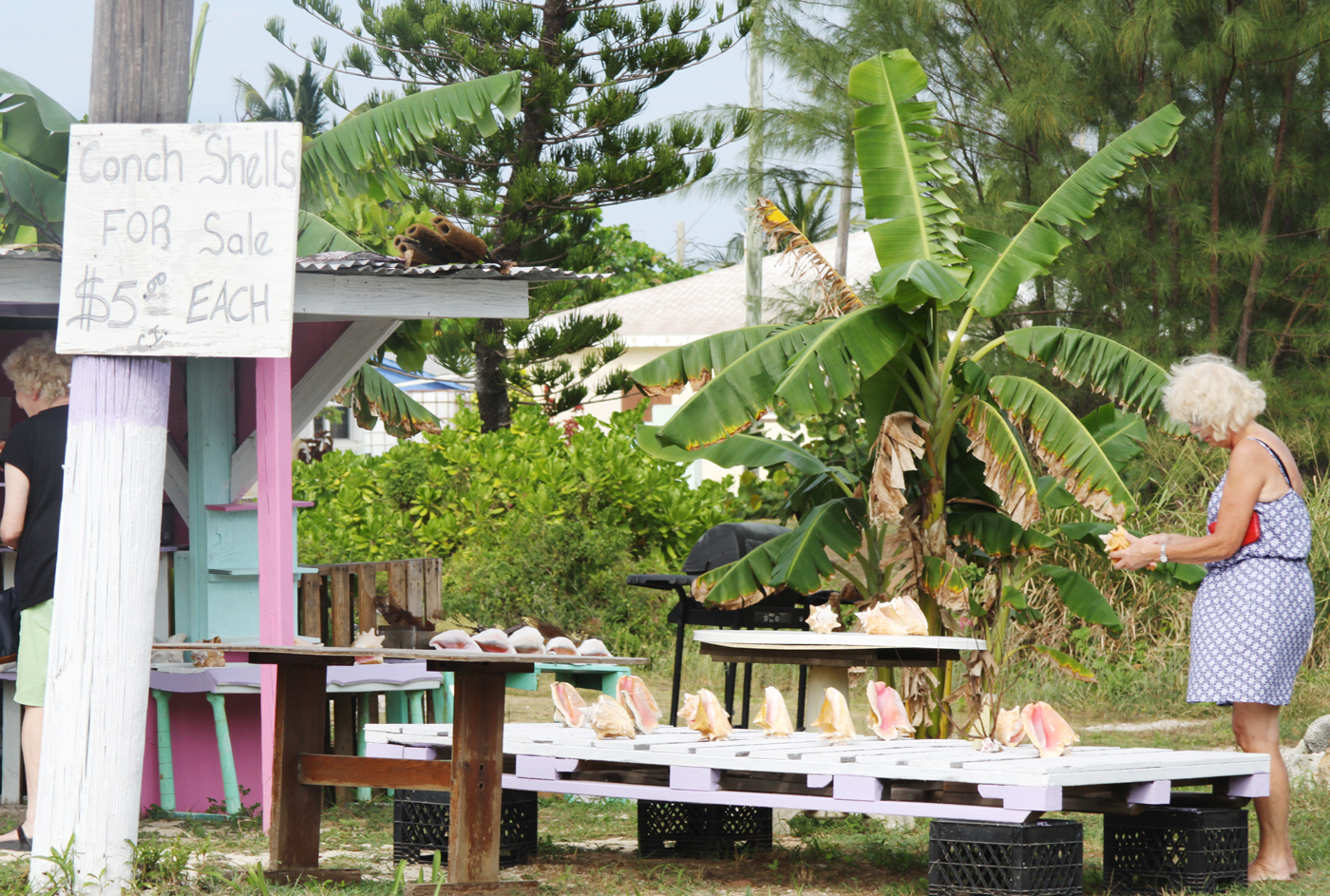 Conch shell stalls a familiar sight in Cayman’s eastern districts ...