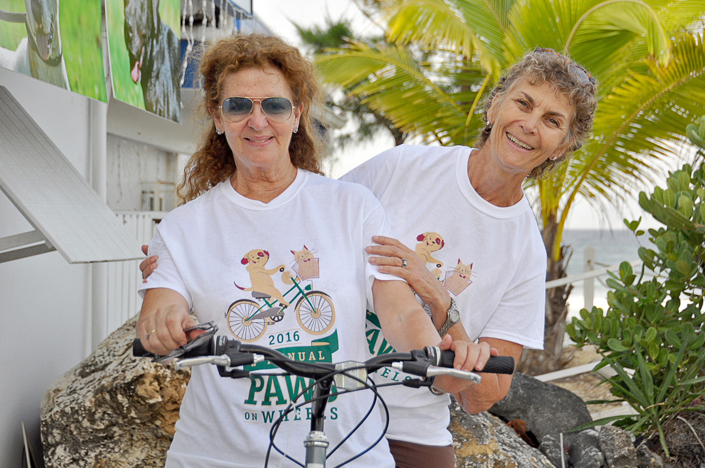 New home for PAWS shop - Cayman Compass