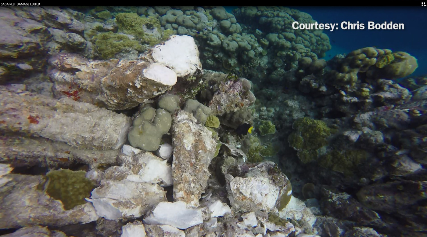 Cargo ship slams coral reef in George Town harbor - Cayman Compass
