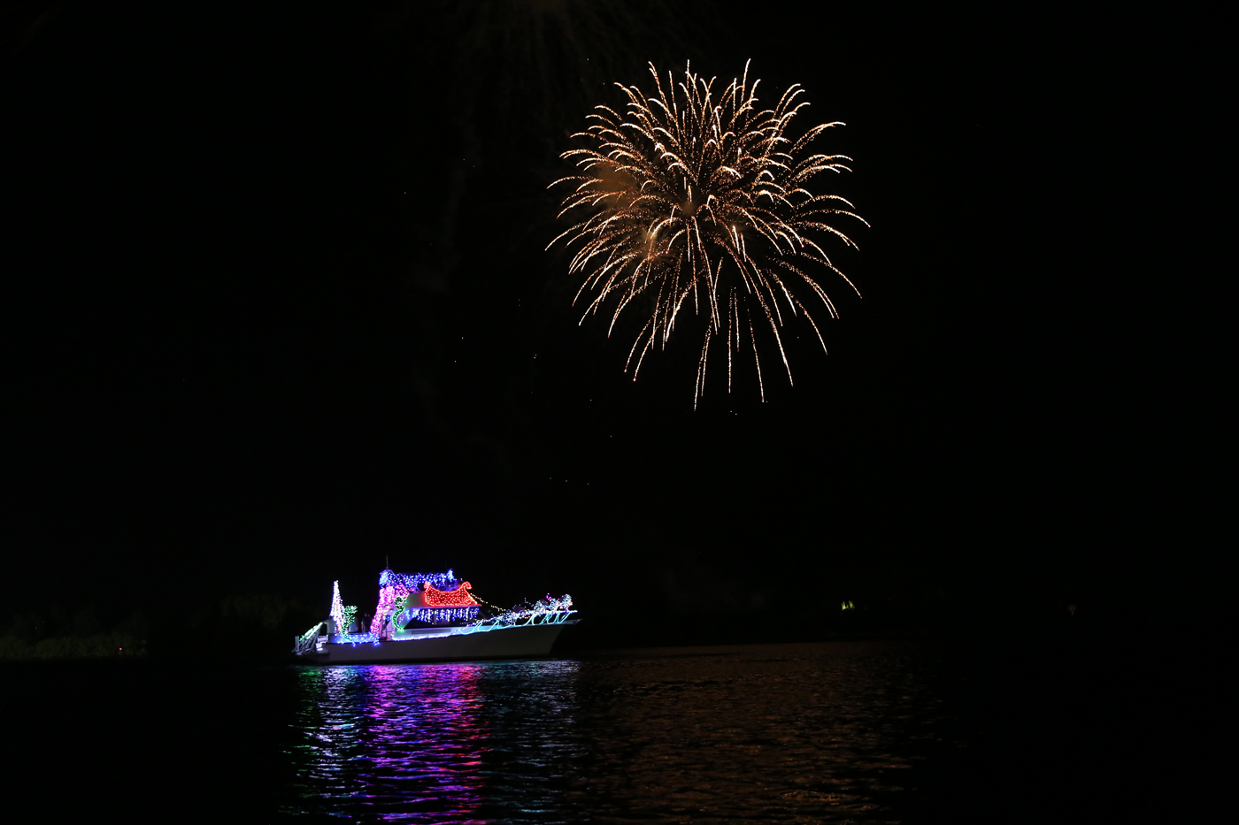Thousands watch Parade of Lights - Cayman Compass