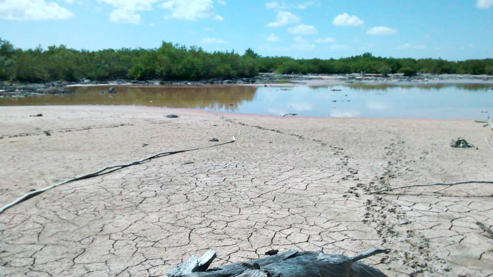 Submissions Sought On Proposed Protected Areas Cayman Compass