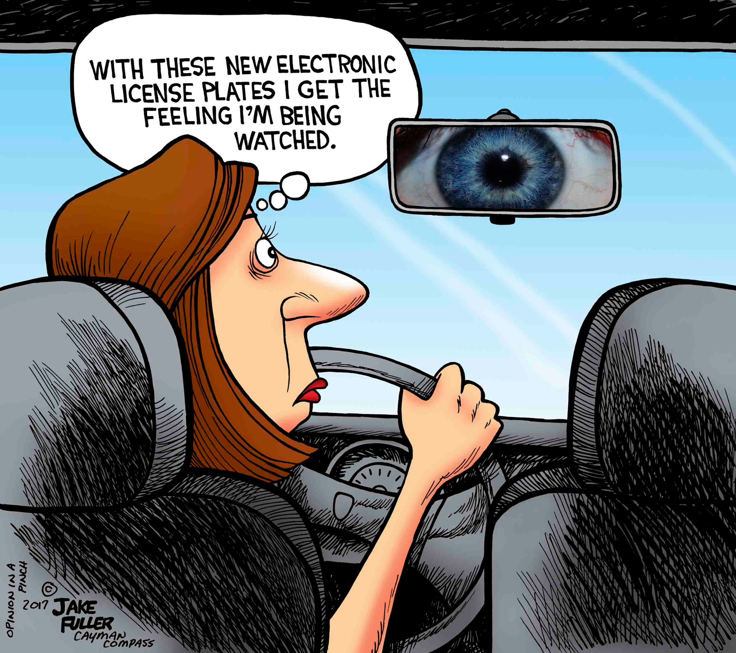 Electronic license plates - Cayman Compass