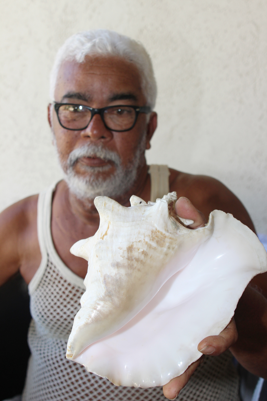 Man’s lifelong search for 'albino' conch ends; 'I knew that 53 years of ...