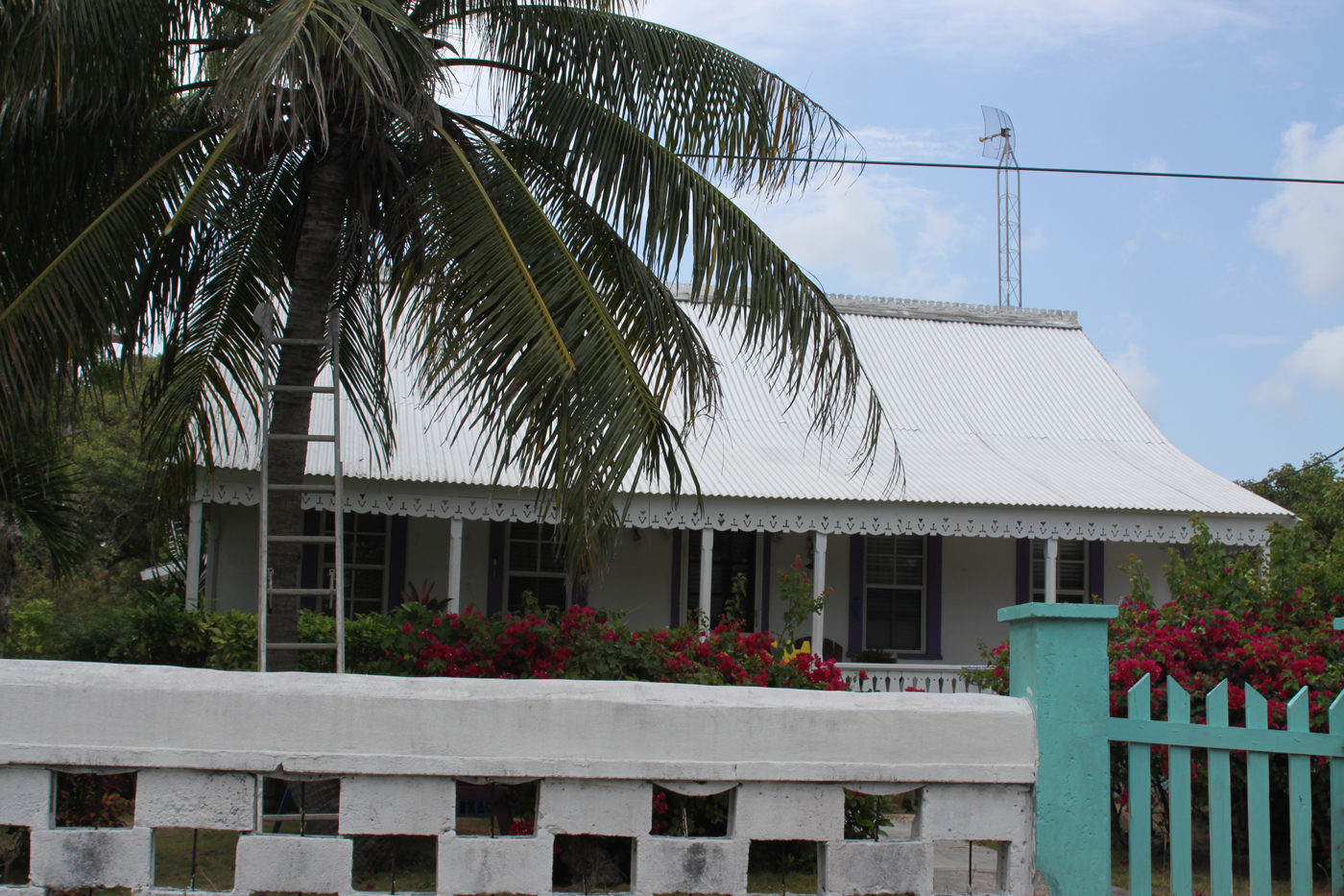 BT-Mr - Cayman Compass