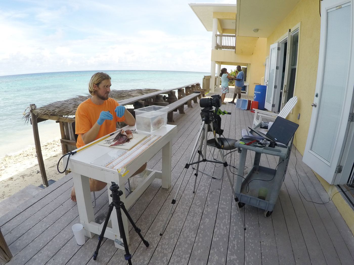 Science class beneath the waves - Cayman Compass