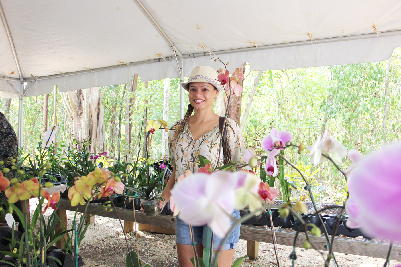 Orchid enthusiasts search for rare blooms at show - Cayman Compass