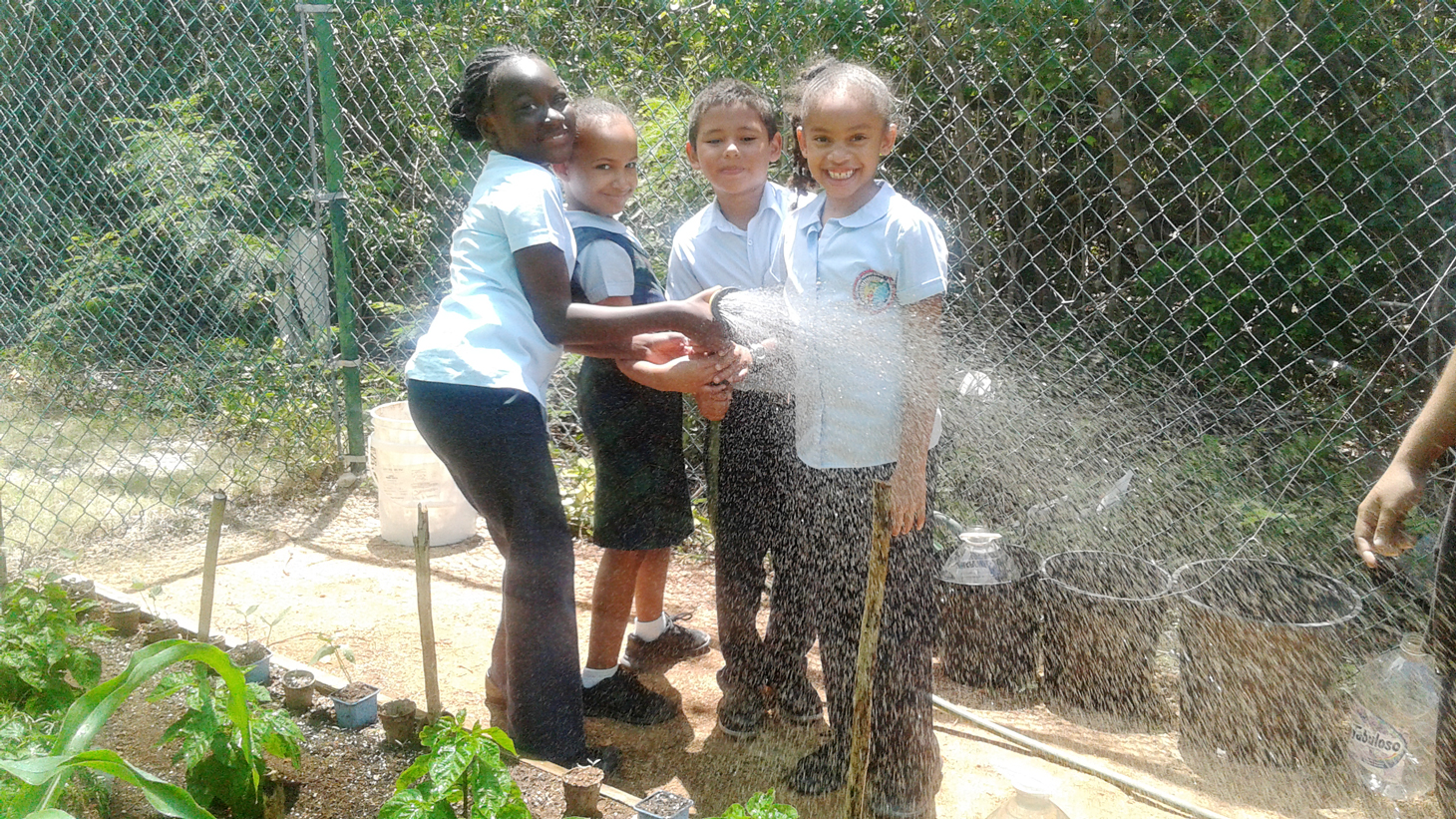 Students compete in Agriculture Show - Cayman Compass