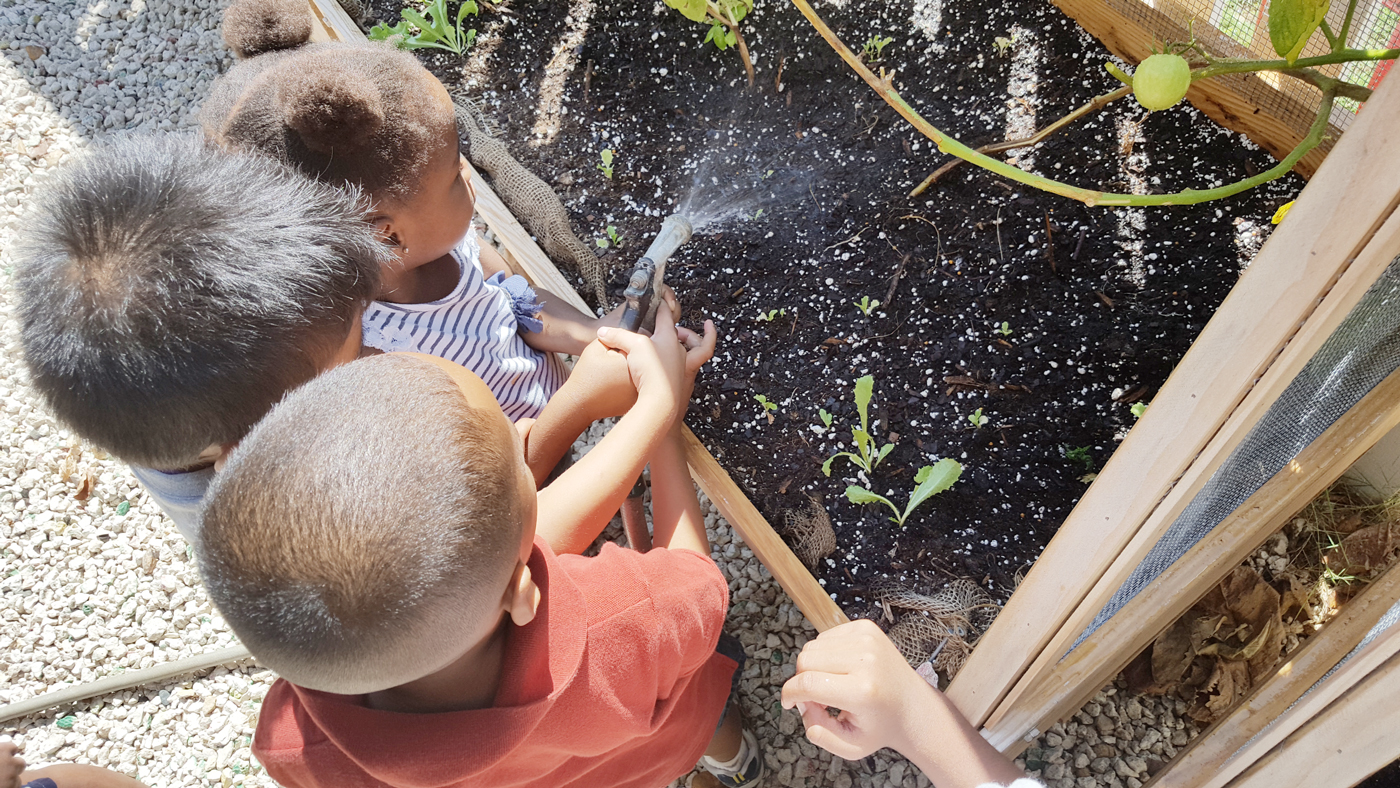 Preschool garden marks first anniversary - Cayman Compass
