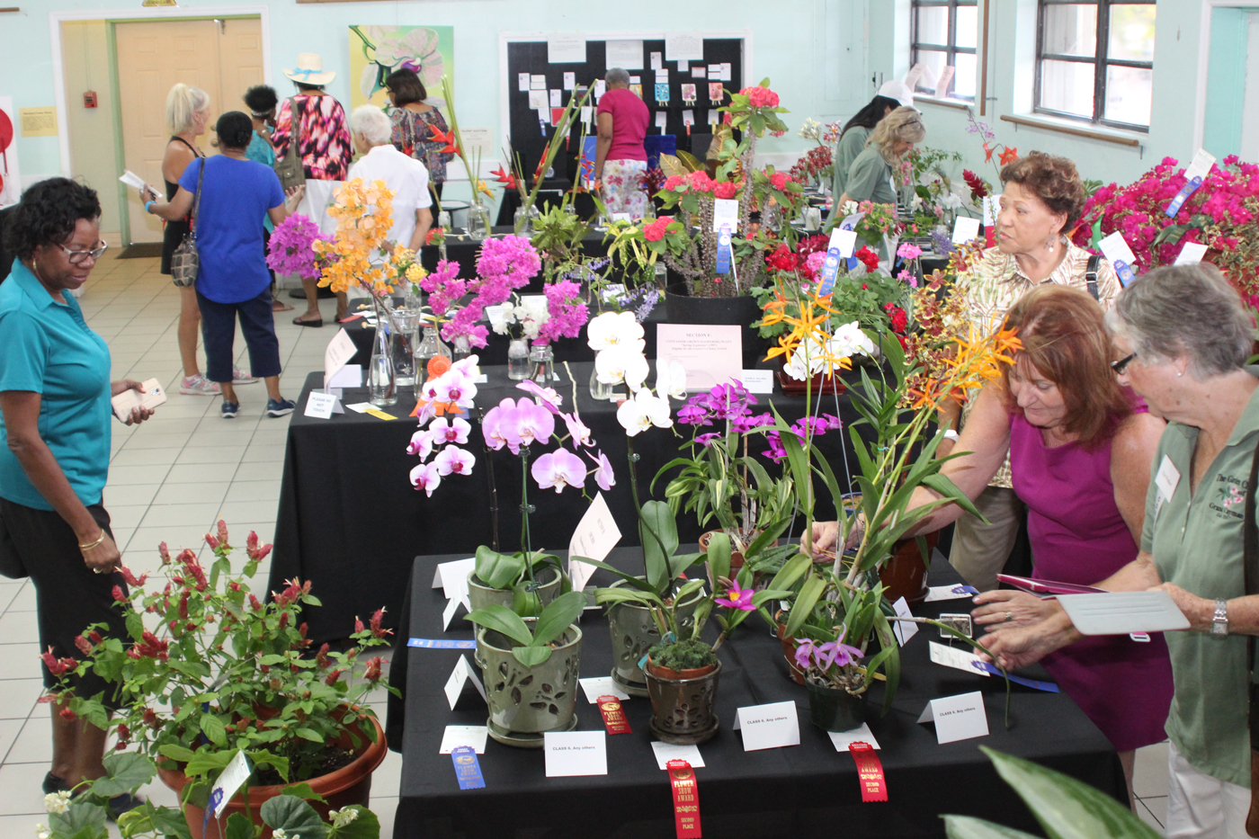 Flower Show in full bloom - Cayman Compass