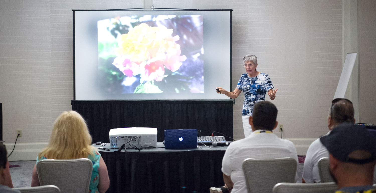 Local photographers feeling 'lost' over closure of Cathy Church's ...