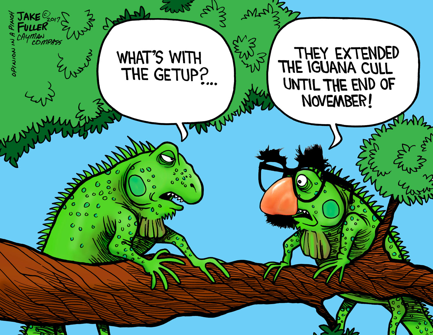 Jake-Fuller-Iguana-Cull-cartoon-clr - Cayman Compass