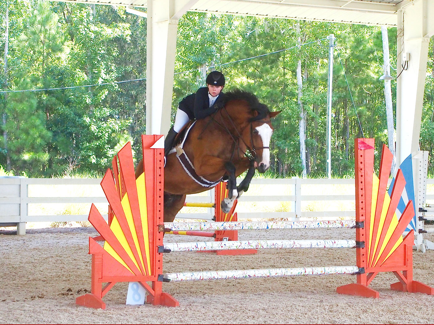 Cayman equestrian team named Reserve Champions in Georgia - Cayman Compass