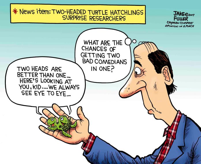 Two-headed turtle - Cayman Compass