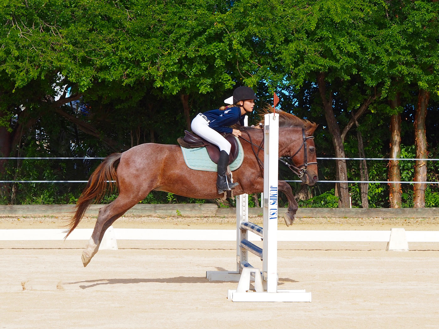 Cayman places second in regional jumping challenge - Cayman Compass