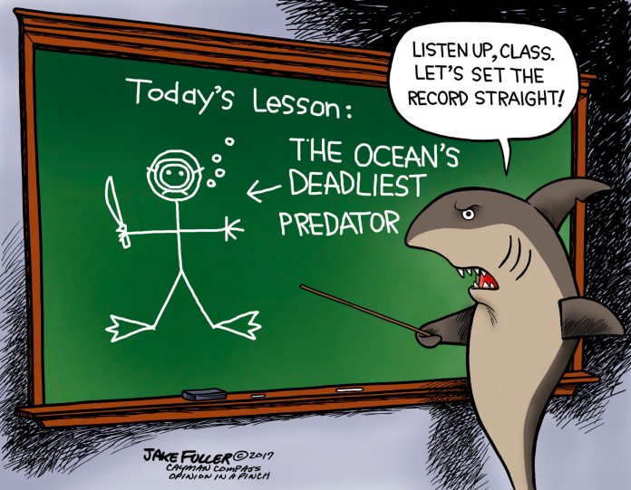 The ocean's deadliest predator - Cayman Compass