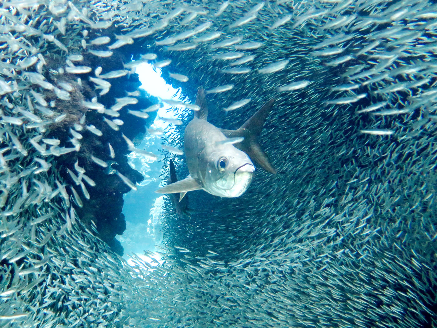 Cayman's most memorable photos of 2017 - Cayman Compass