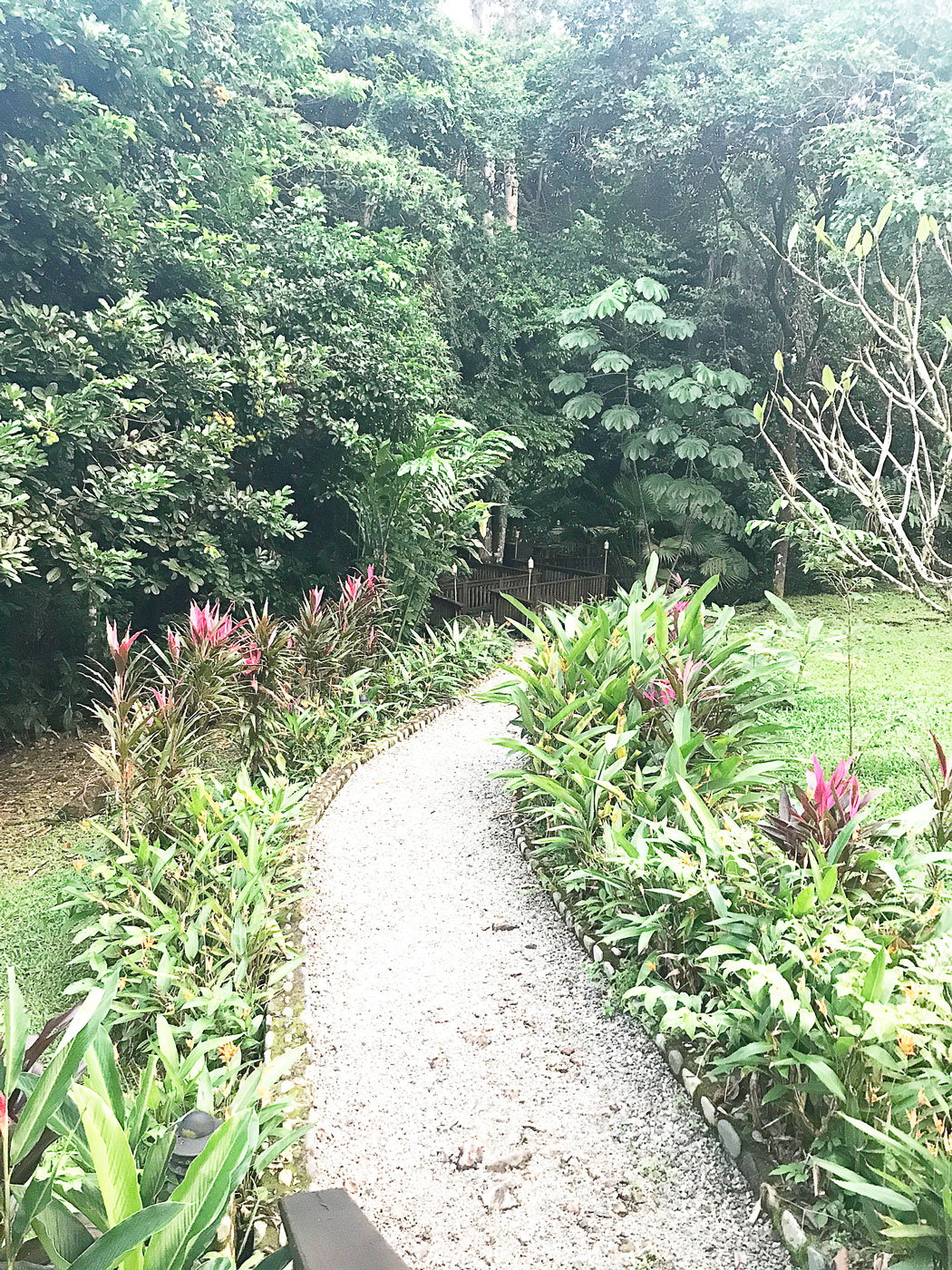 Discovering the magic of The Lodge at Pico Bonito - Cayman Compass