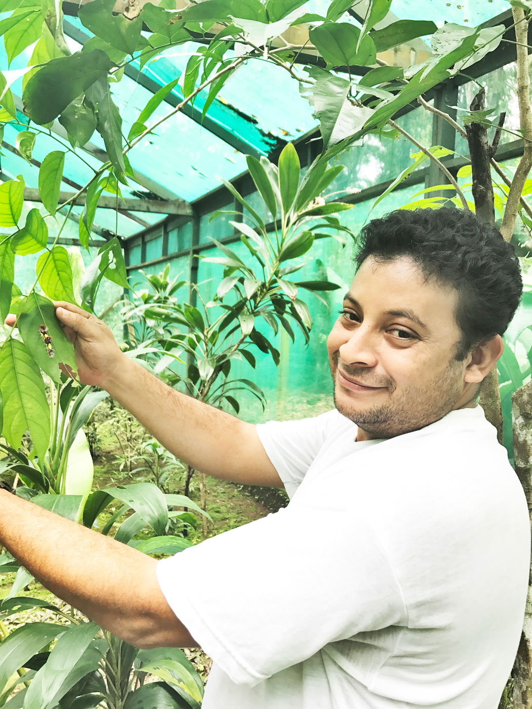 Discovering the magic of The Lodge at Pico Bonito - Cayman Compass