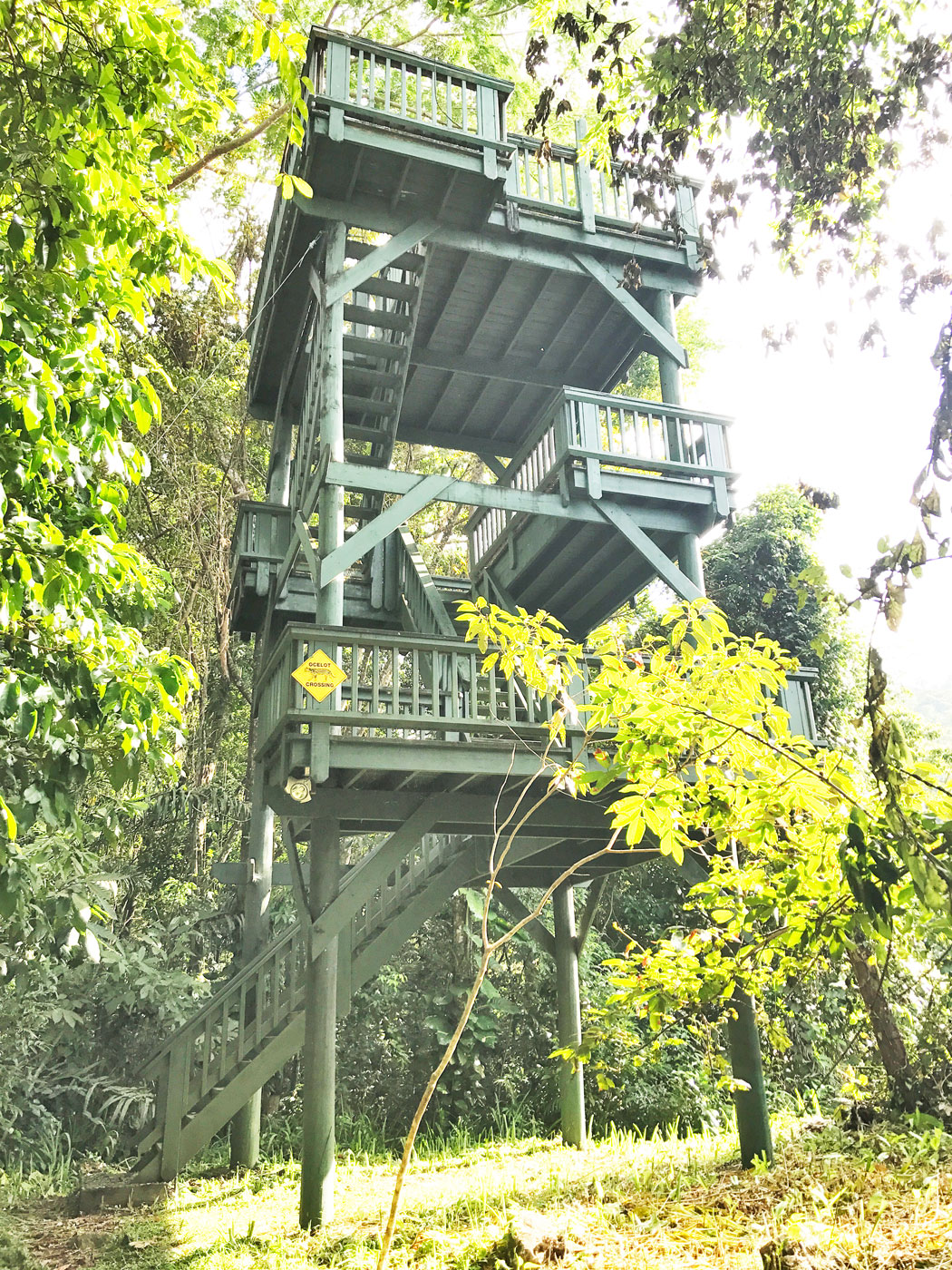Discovering the magic of The Lodge at Pico Bonito - Cayman Compass