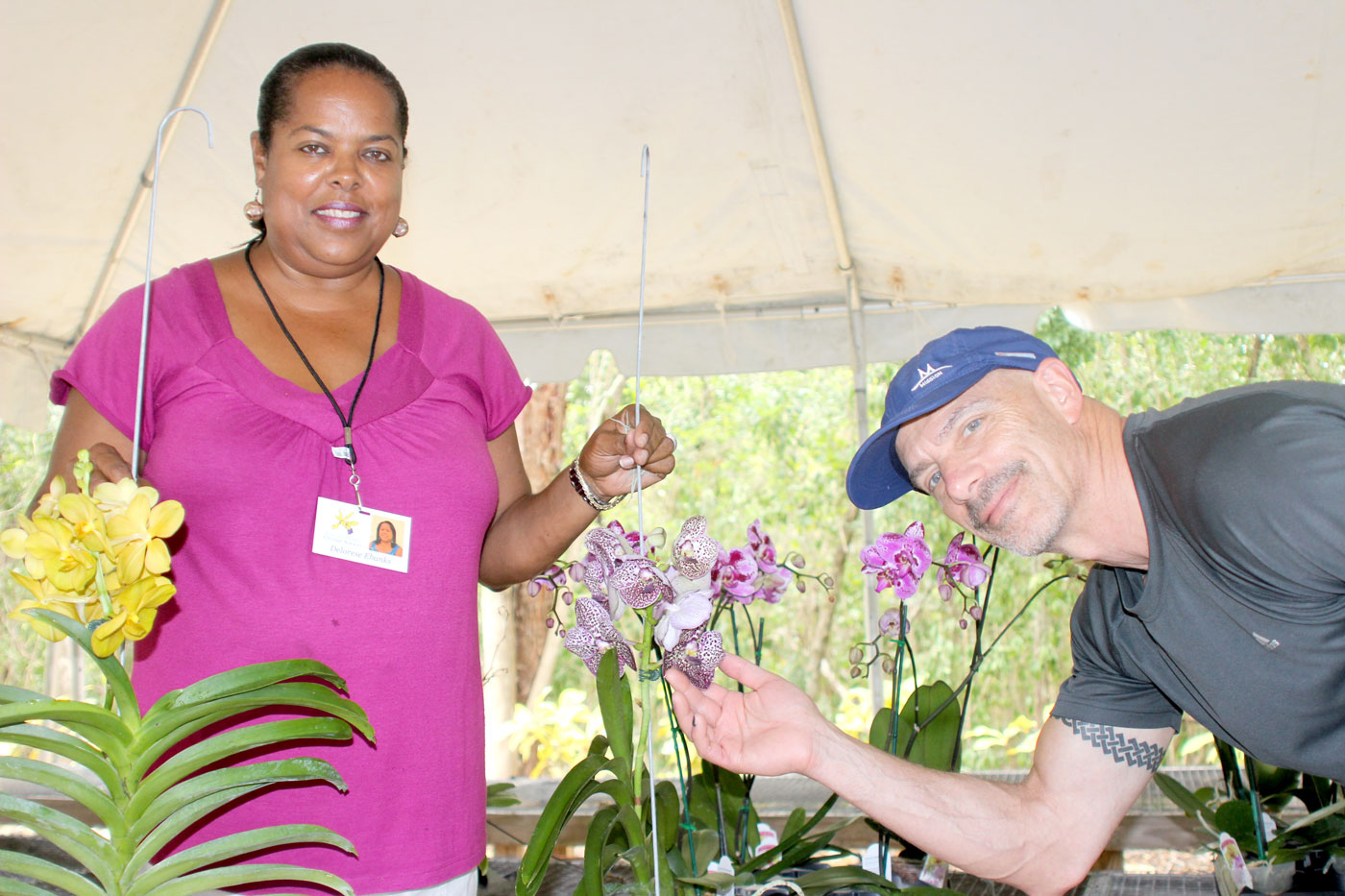 Orchid Show continues to grow - Cayman Compass