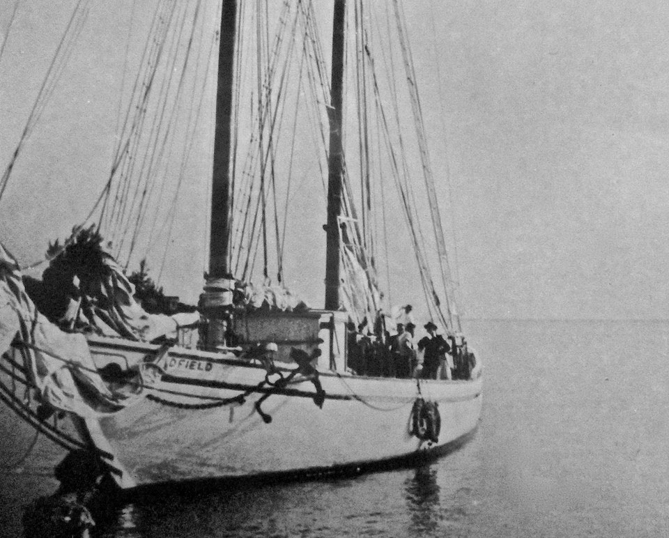 Cayman’s forgotten shark rangers - Cayman Compass