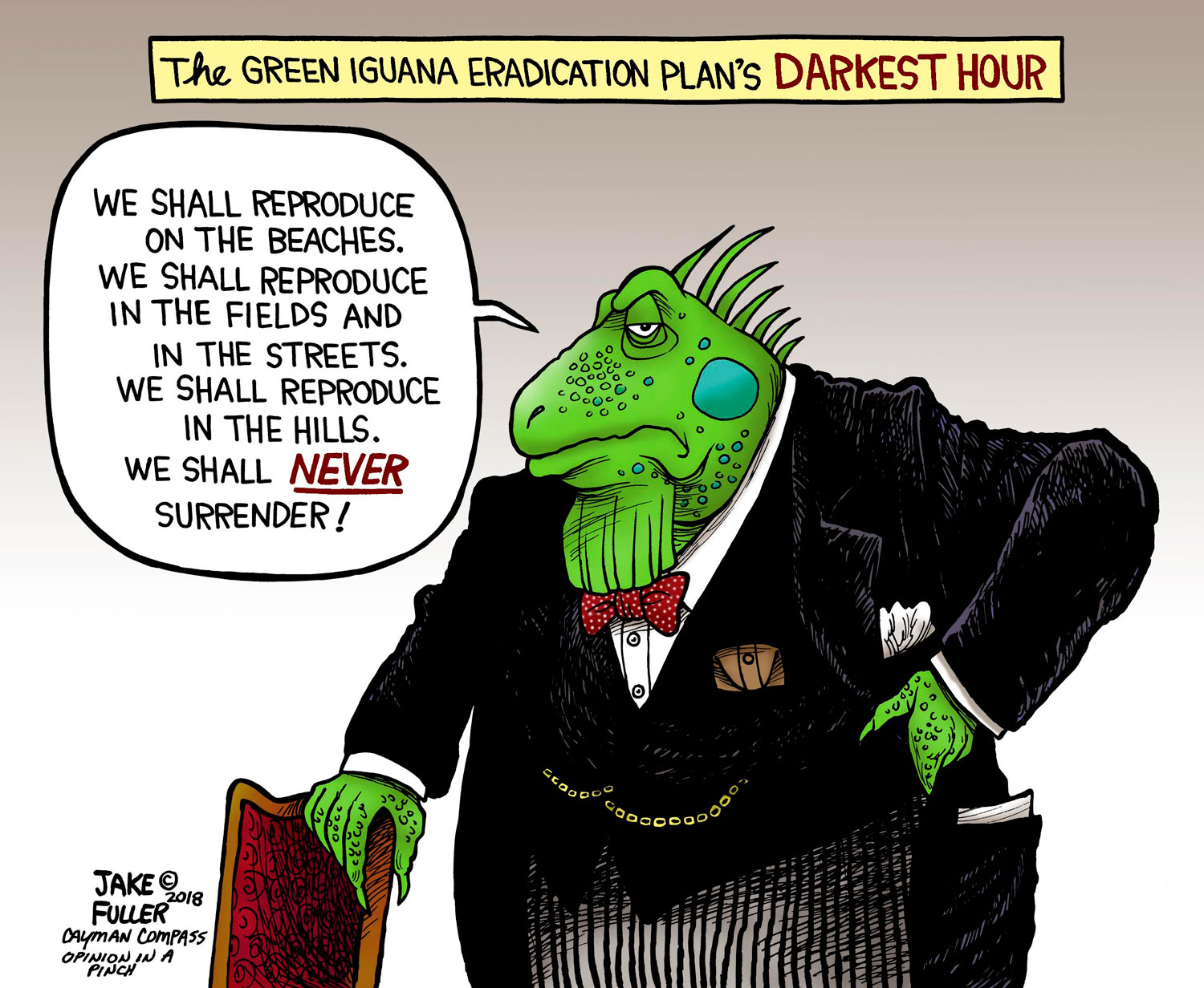 Jake-Fuller-Iguana-Eradication-cartoon-clr - Cayman Compass