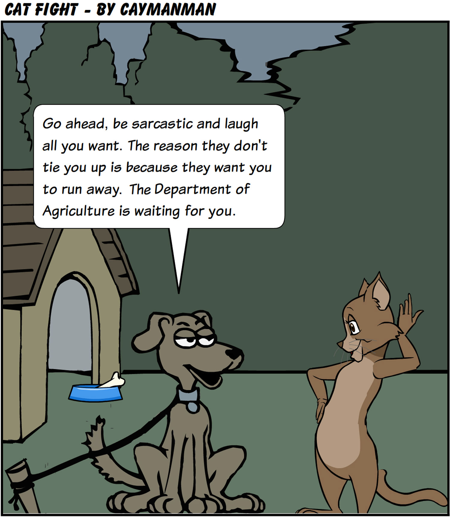 Cat fight - Cayman Compass