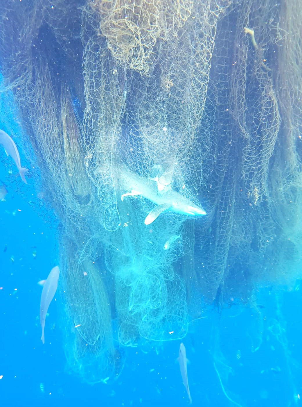 ‘Ghost net’ found off Cayman - Cayman Compass