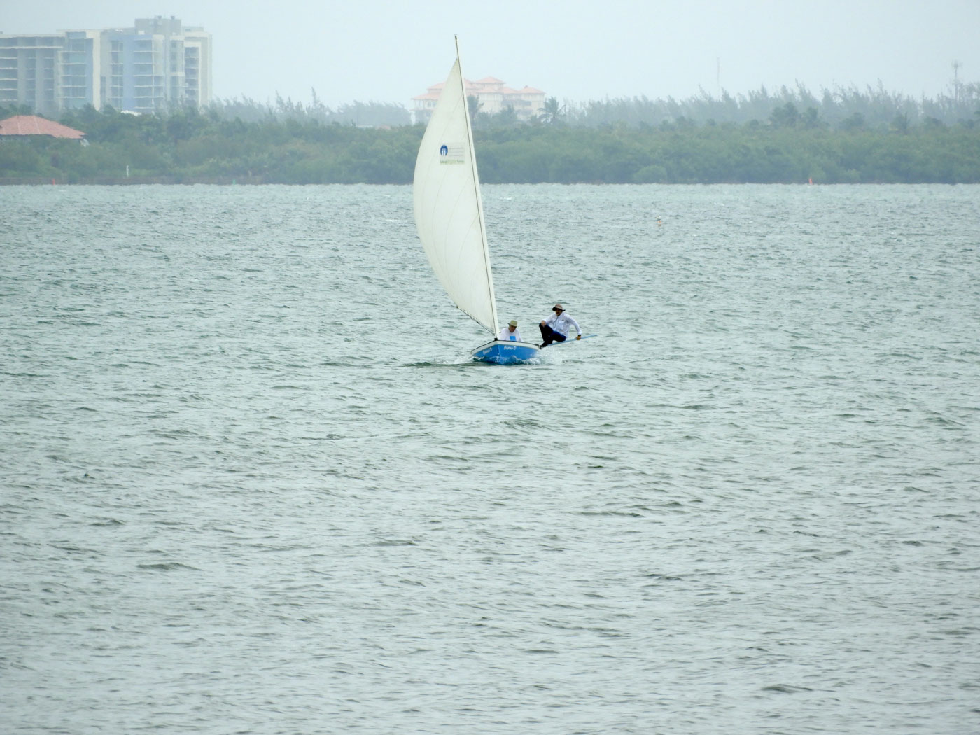 Catboat racers brave rain for Discovery Day regatta - Cayman Compass