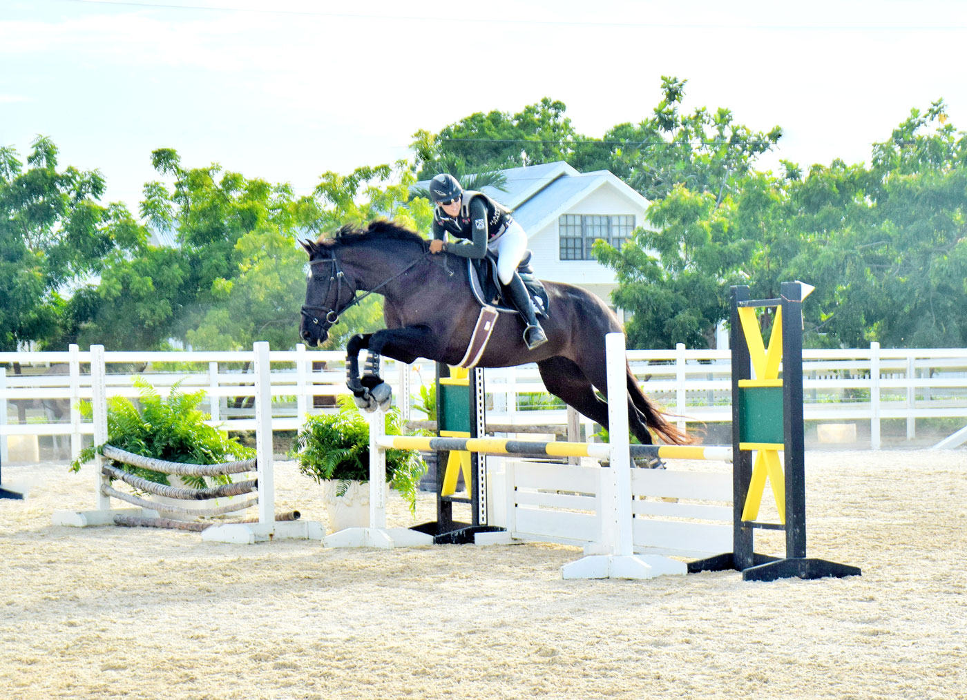 Final jumping show of the season - Cayman Compass